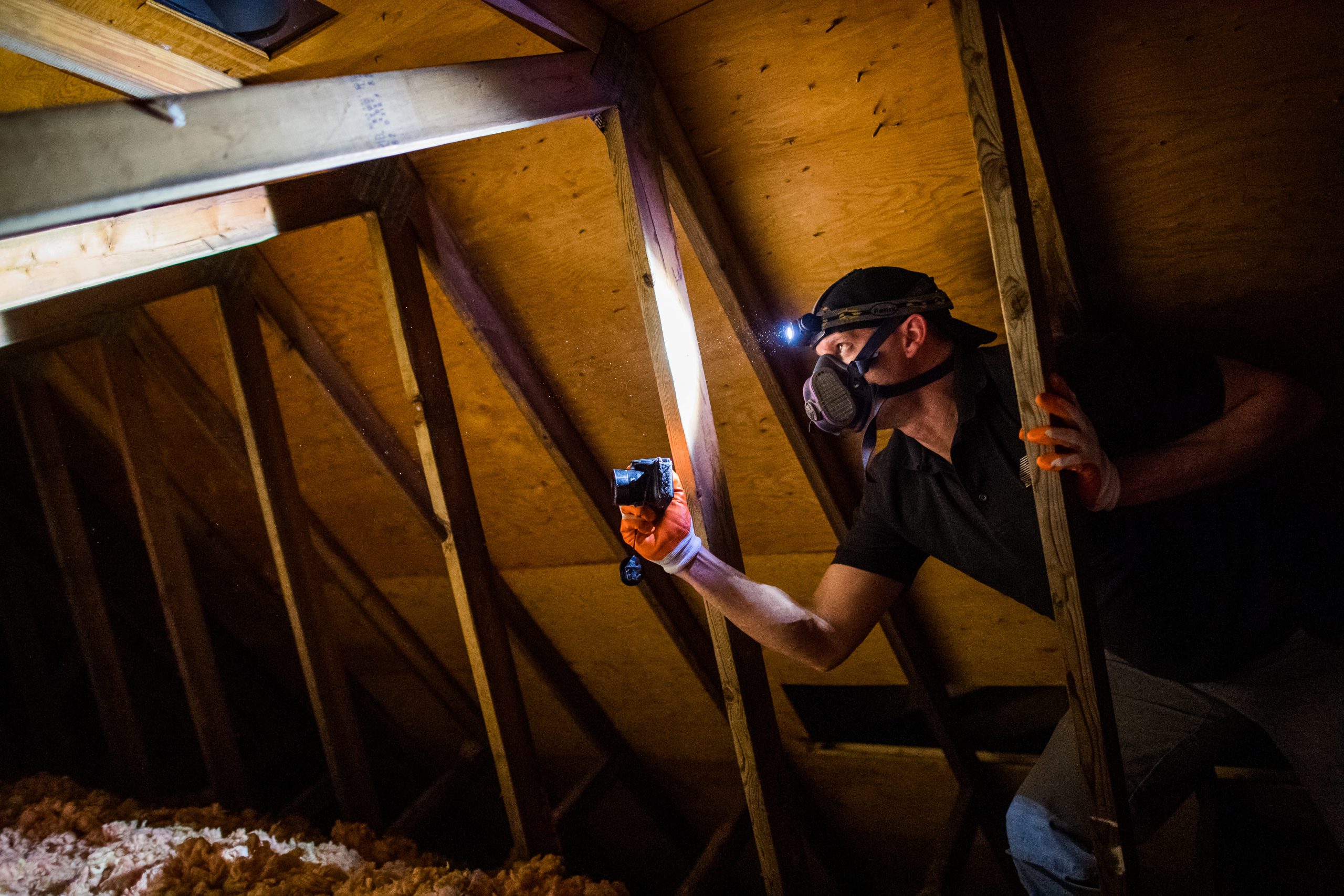Safely Navigating an Attic Without a Floor: Essential Tips and ...